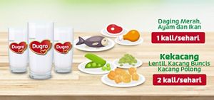 Zat Besi – zat penting untuk Si Manja Article